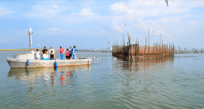Home - Dutch Coastal Rowing (DCR)